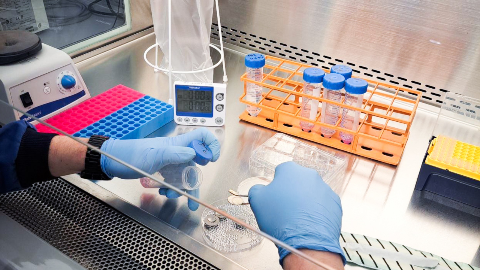 Disinfectant and Antiseptic Testing